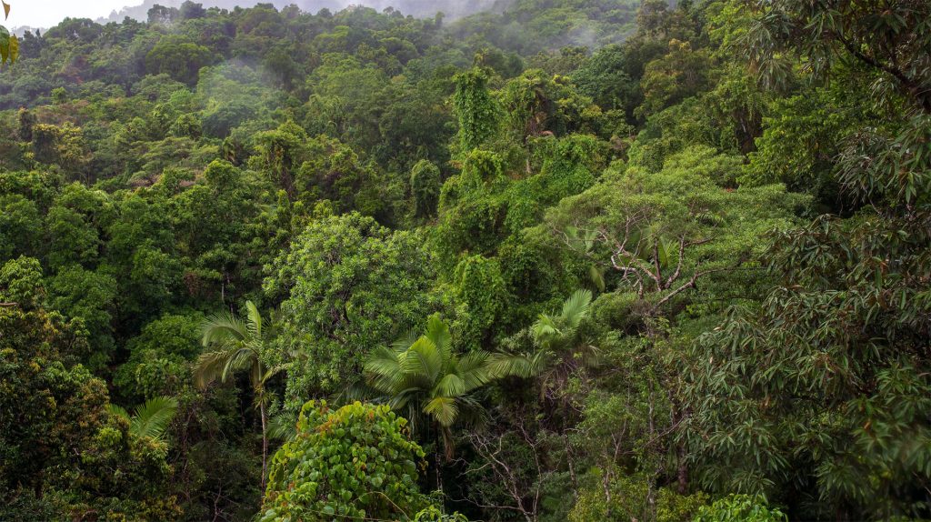 re.green – We're doing it.