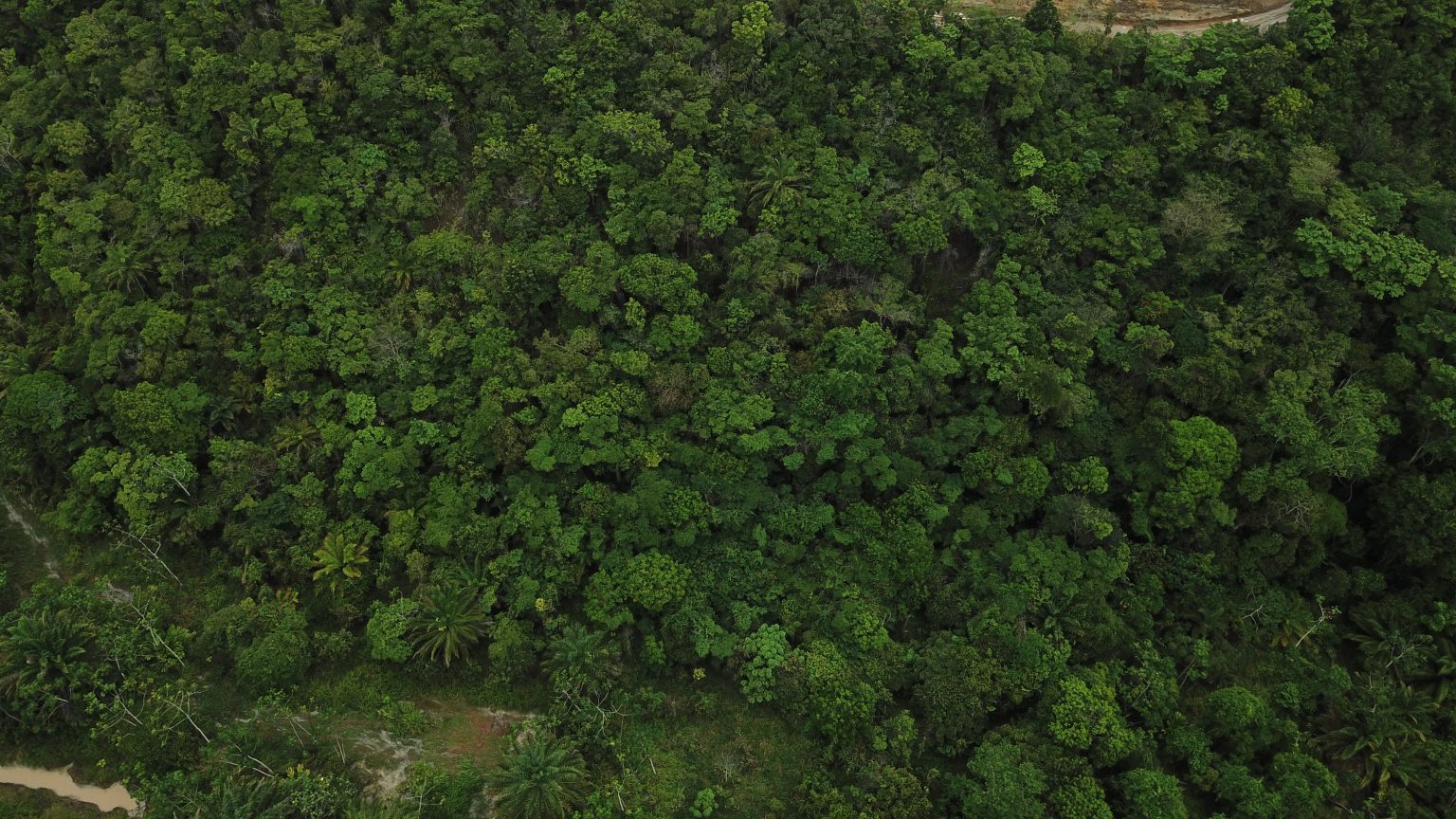 re.green – We're doing it.