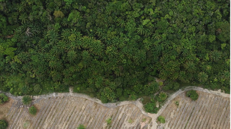 Como fazemos – re.green