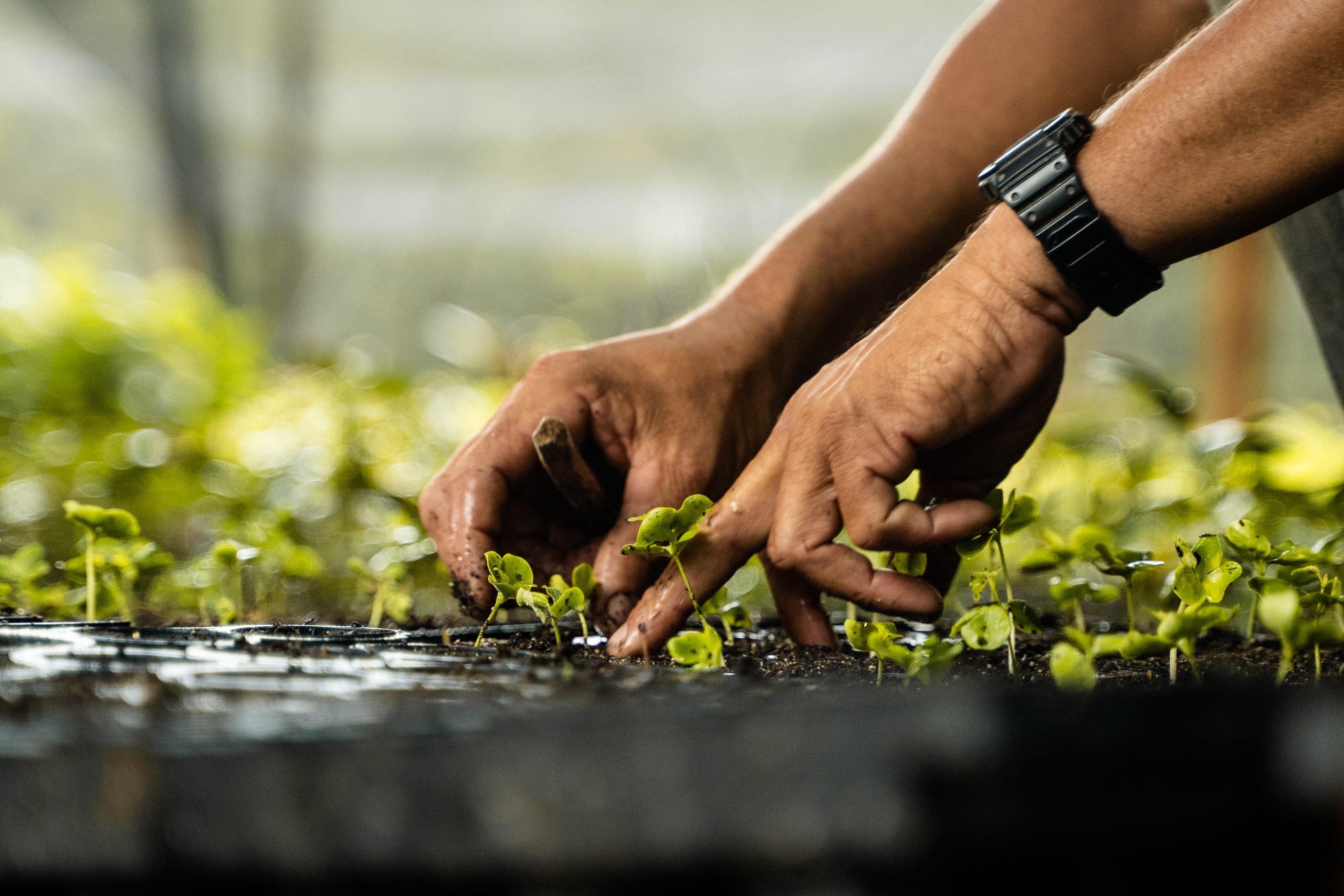 How we do it – re.green