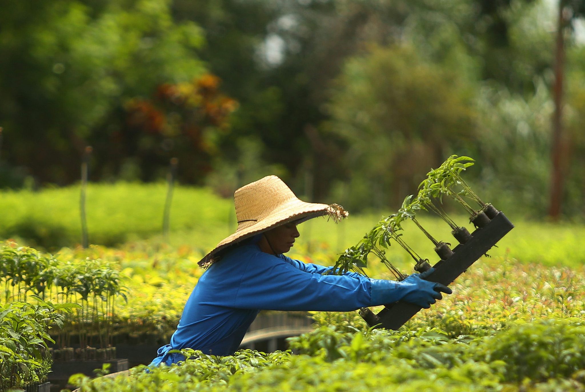 What we do – re.green