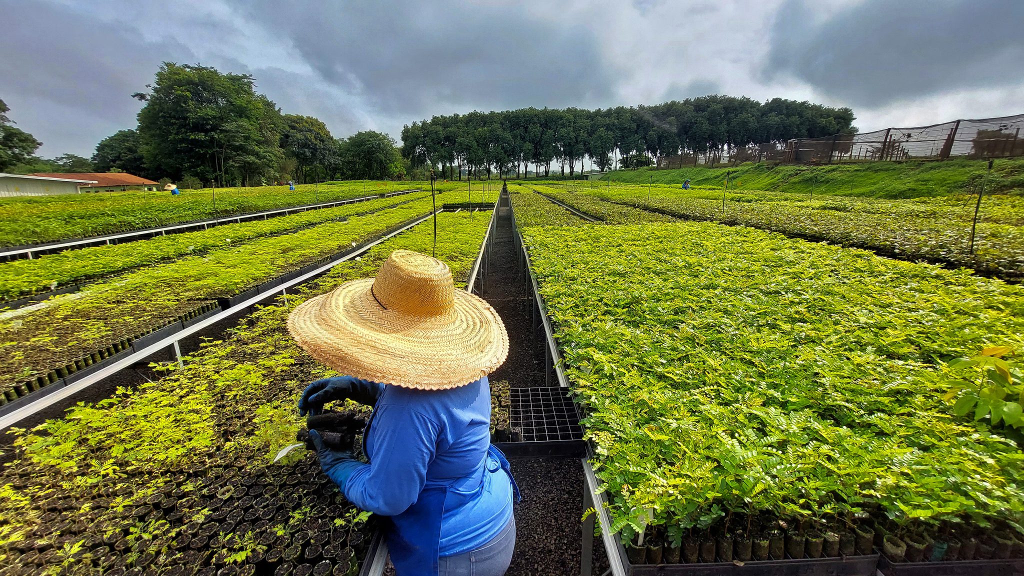 re.green – We're doing it.